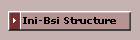 Ini-Bsi Structure